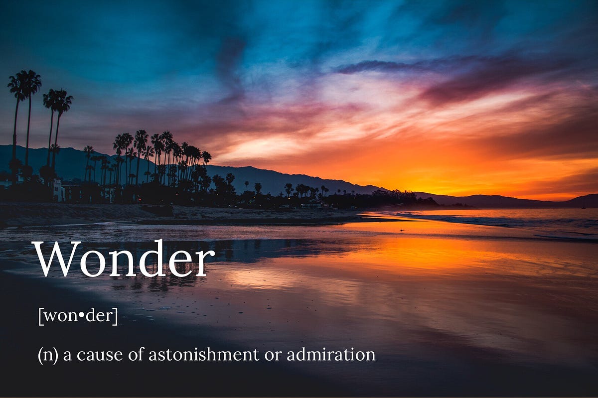 Wonder. Wonder is meant to inspire and… | by Bobbi Klein | Medium