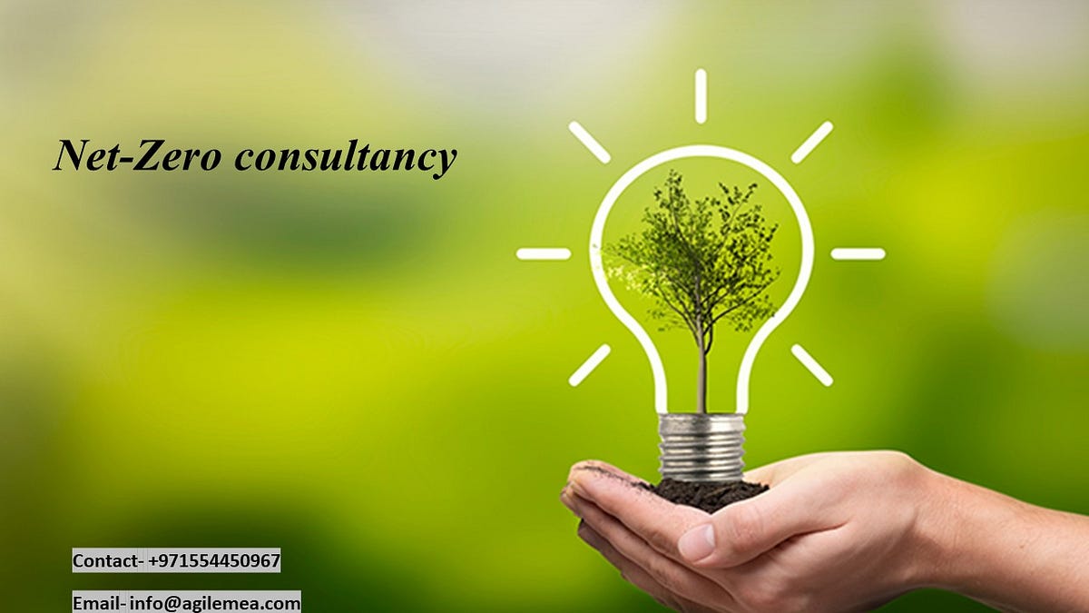 What is Net Zero. More and more nations, towns, and… | by ...