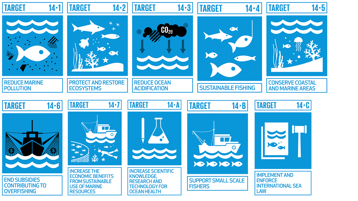 Goal 14: Conserve and sustainably use the oceans, seas and marine ...