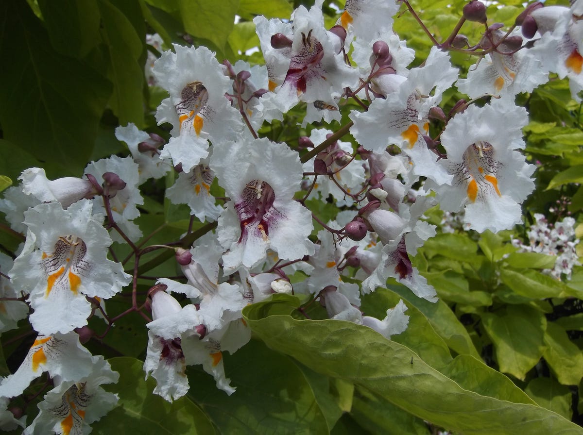 Moving your career forward when you’re stuck in a rut | by Deborah ...