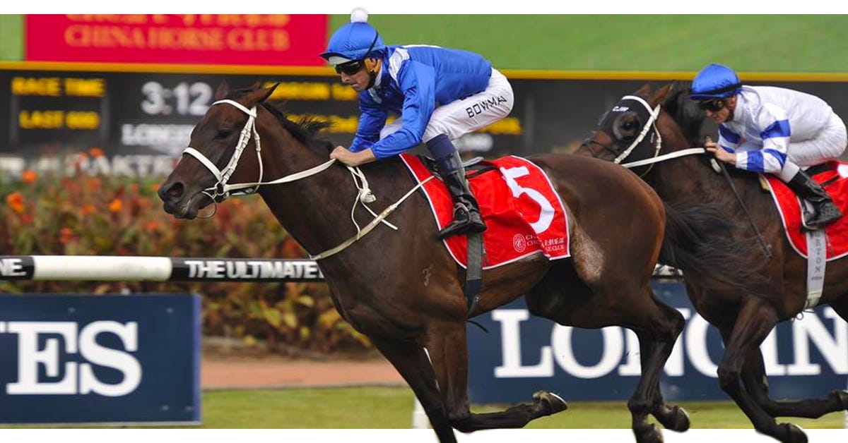 Horse Racing Punter Turns $50 Into $3,272 | by Ethan Taylor | Medium