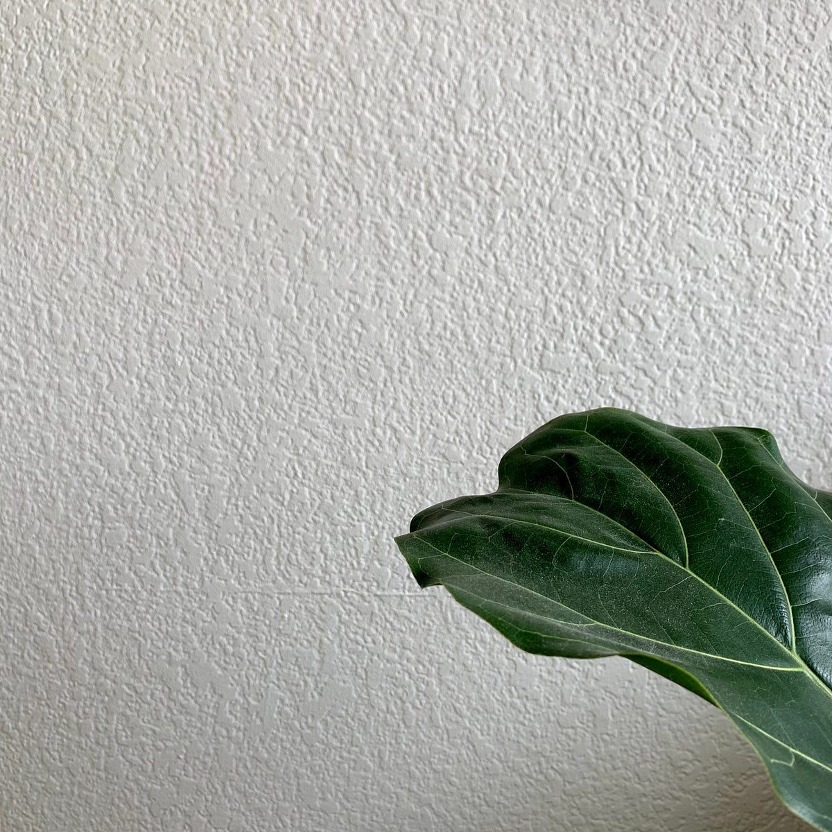 Surviving a coding bootcamp: Mindfulness tools edition. | by Raz Al-Jaf | Medium