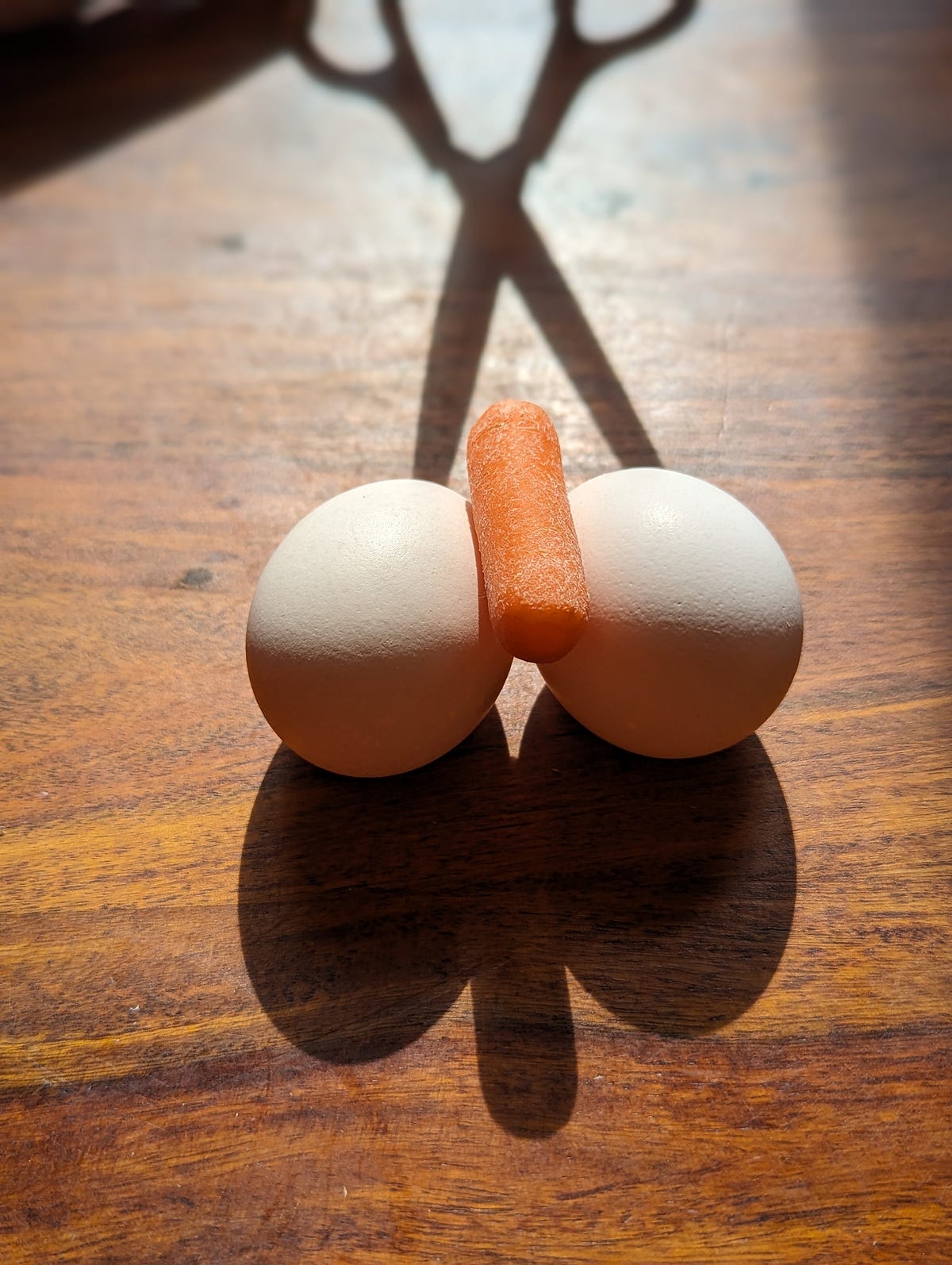 Five Facts You Should Know Before You Get A Vasectomy | by Potbelly ...