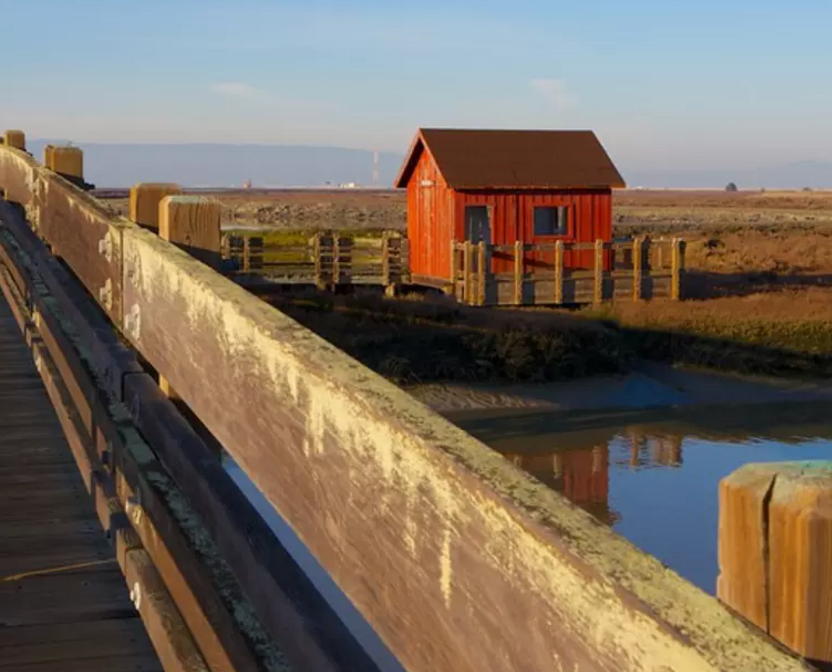 Don Edwards San Francisco Bay National Wildlife Refuge | by Unaysah Ron ...