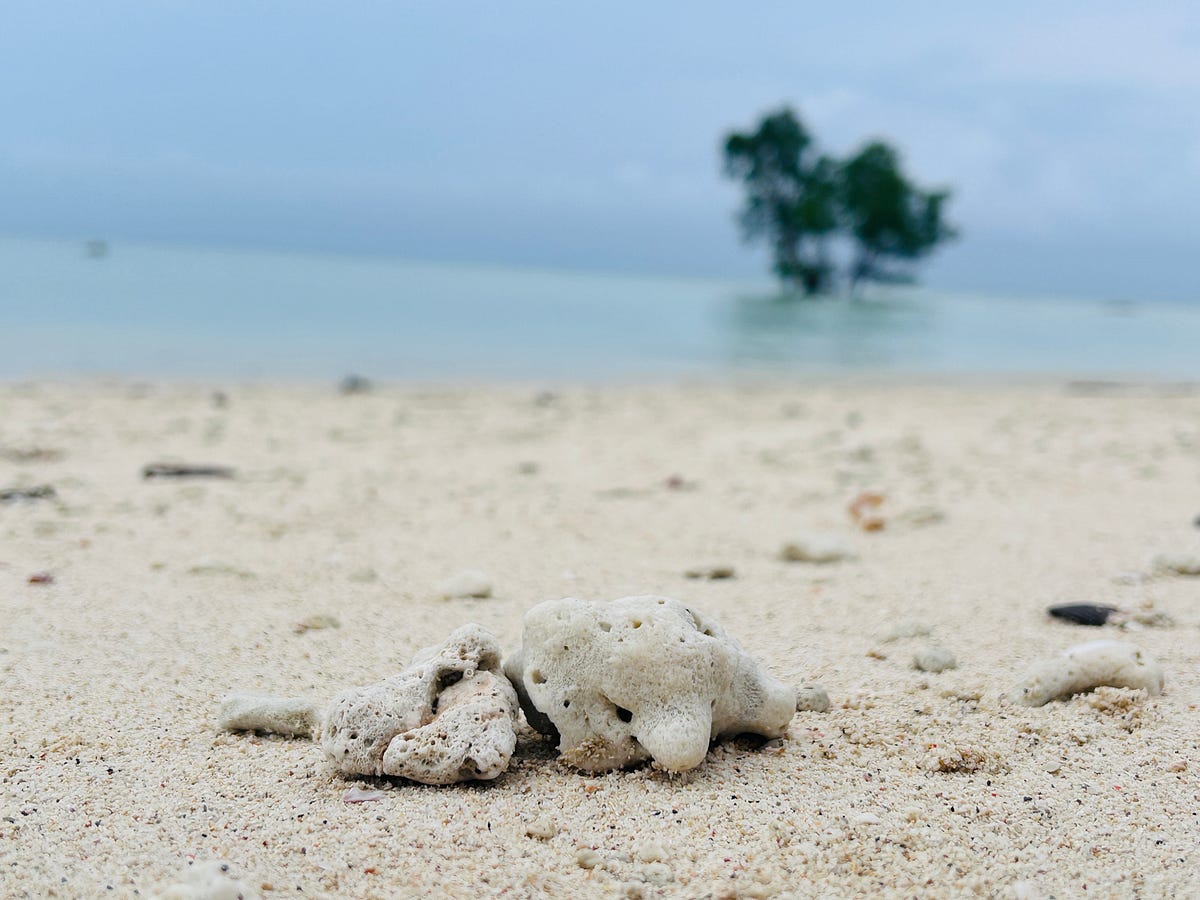 “The Importance of Frequent Travel for Personal Growth” | by Smriti ...
