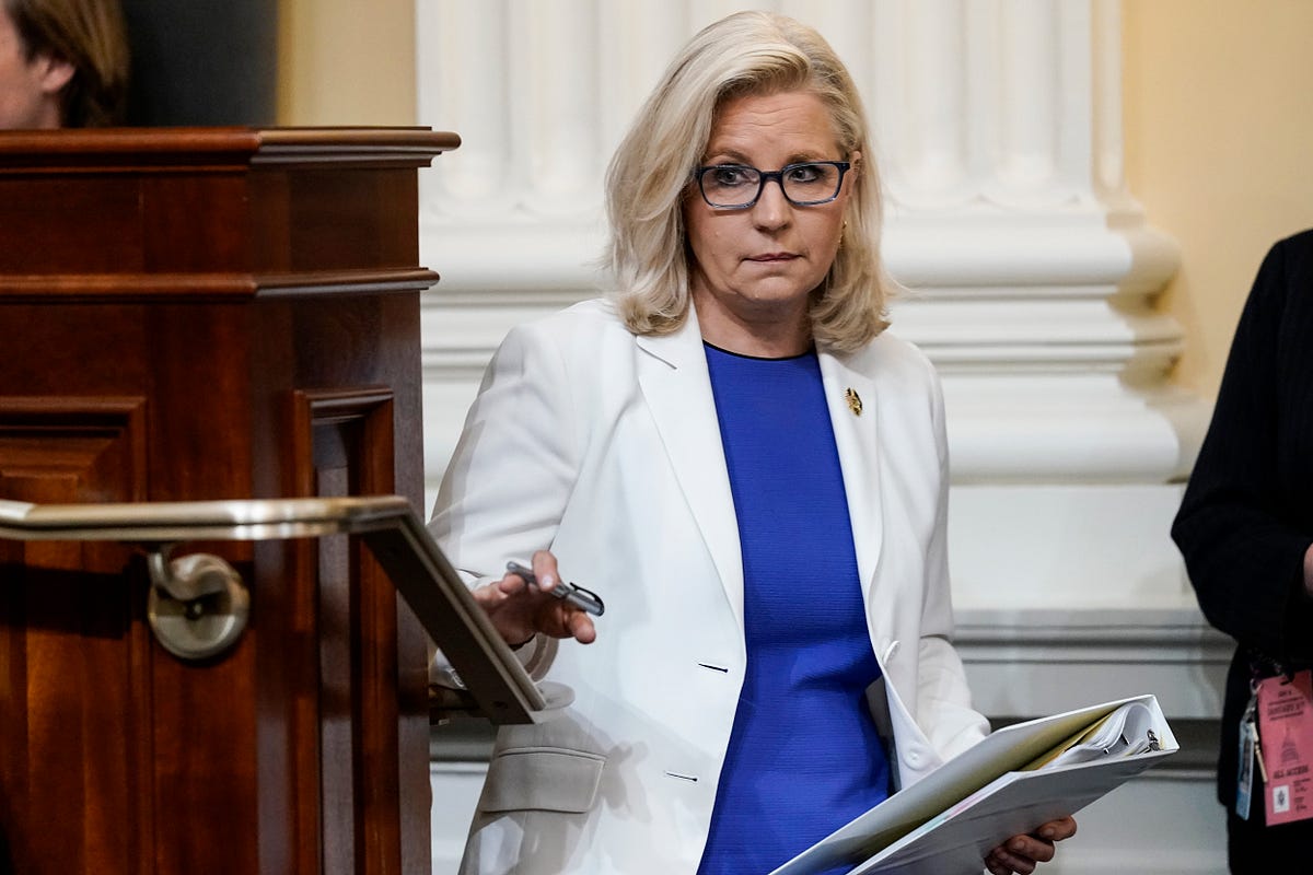 The 2024 Democratic Presidential Candidate Is… Liz Cheney By Duke