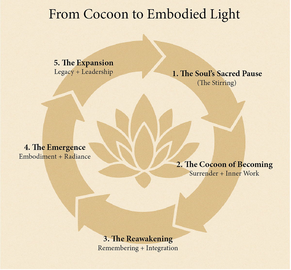 The Sacred Cocoon. There comes a time in every seeker’s… | by Dr ...