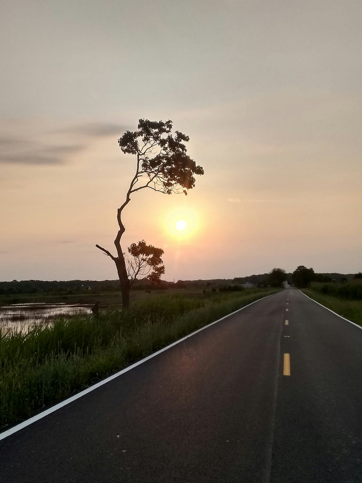 I Grew Up Wondering Why I Was Left Behind — This Is My Story | by ...