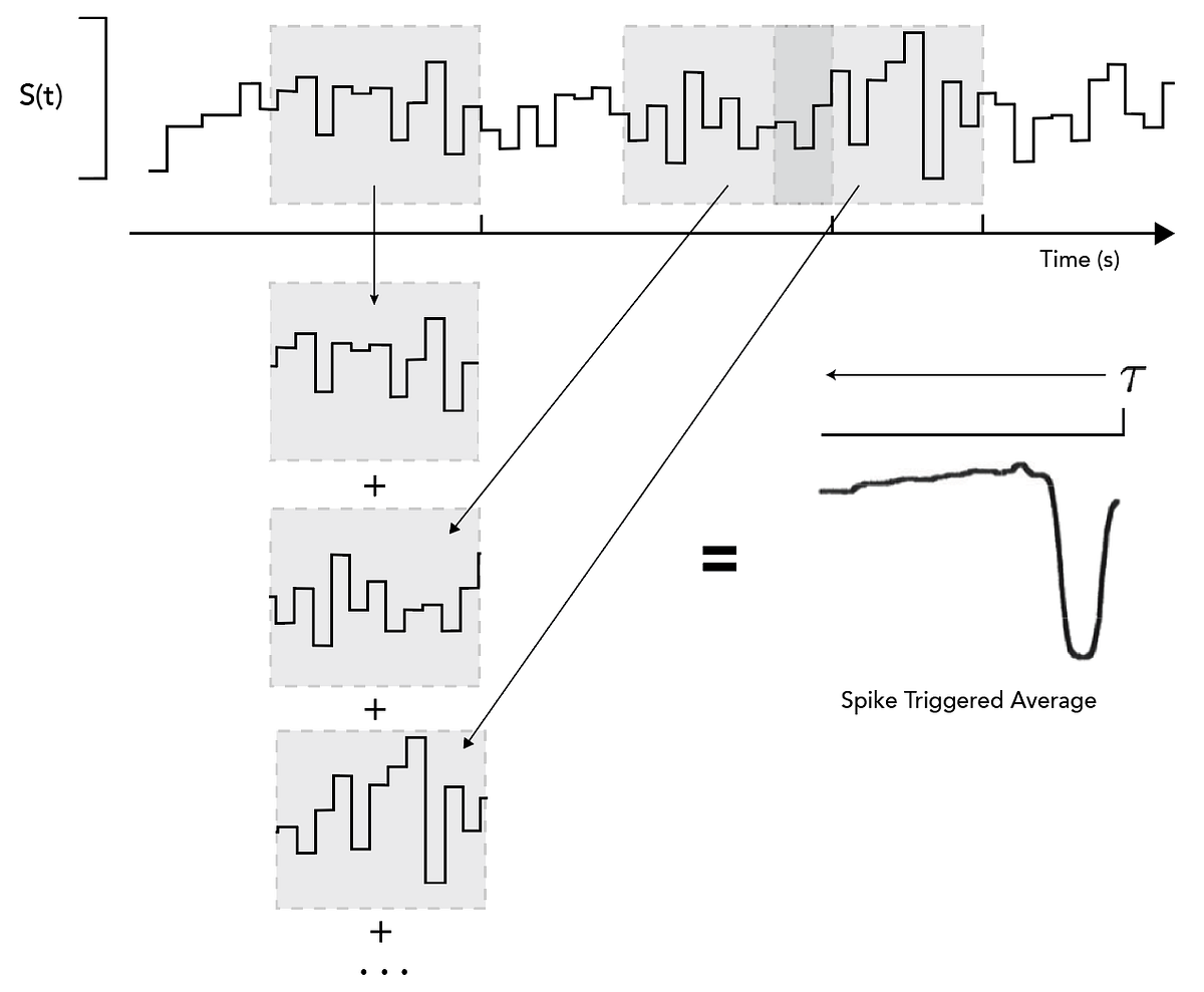 Spike Trigger Averages (STA): Understanding Neural Spike Stimuli with ...