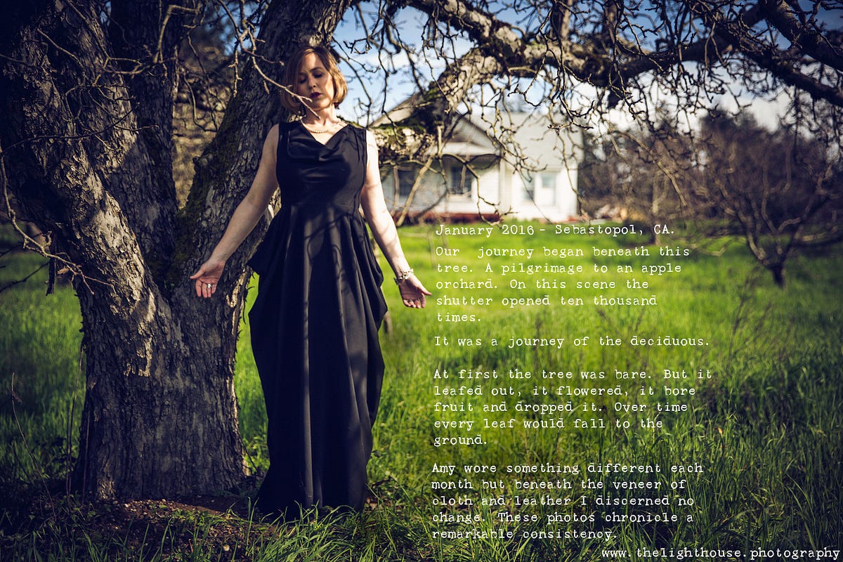 The Orchard Project #1: Deciduous | by Vincent Louis Carrella | Medium
