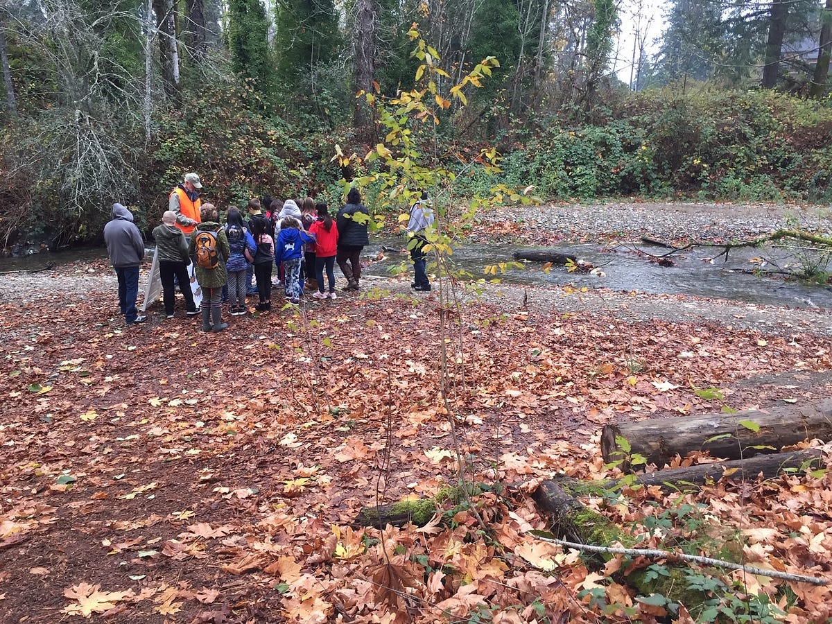 Where to view spawning salmon around western Washington | by The ...