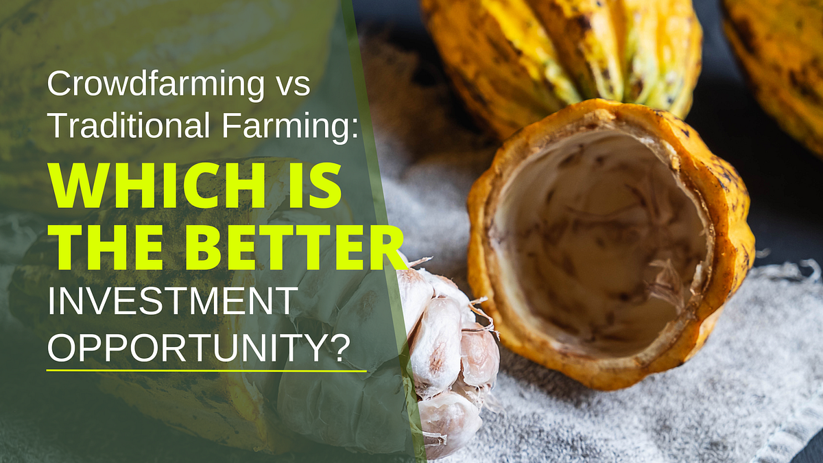 Crowdfarming vs Traditional Farming: Which is the Better Investment Opportunity? | by Brogan ...