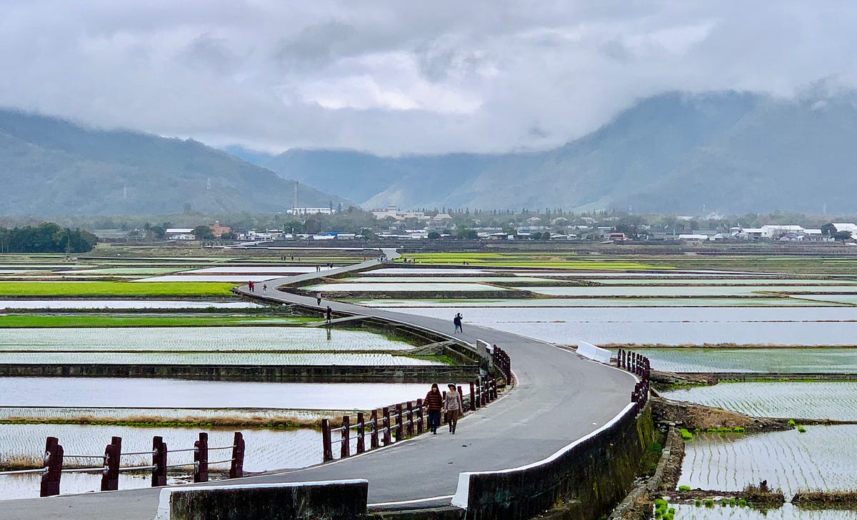 Python Web Flask 對JSON的存取-1. 為什麼需要學會用JSON? | by Sean Yeh | 玩轉 Python：AI × Coding × 自動化 | Python ...