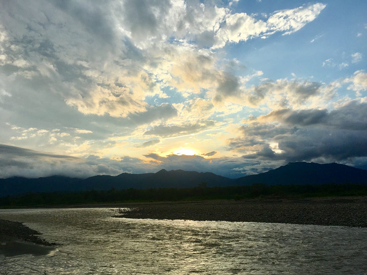 Jungle Gloaming. Gloaming- a Never-Ending Poem Response | by Lynne ...