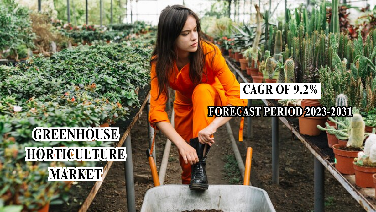 Cultivating Excellence: Analyzing the Greenhouse Horticulture Market ...