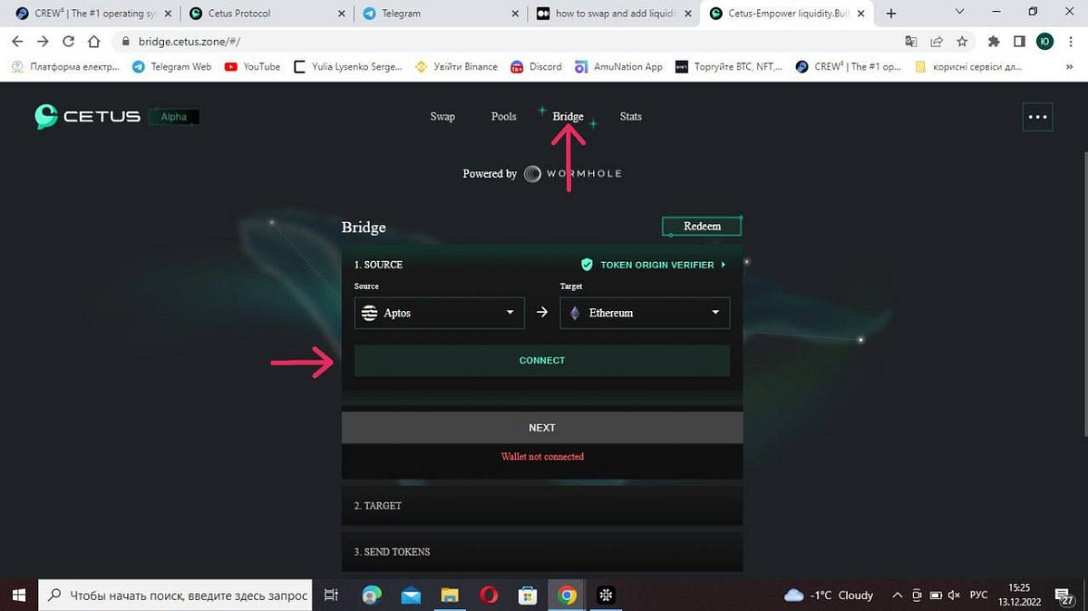 How to use Cetus Bridge powered by Wormhole and add liquidity in Cetus pools | by Lisss Ulia ...