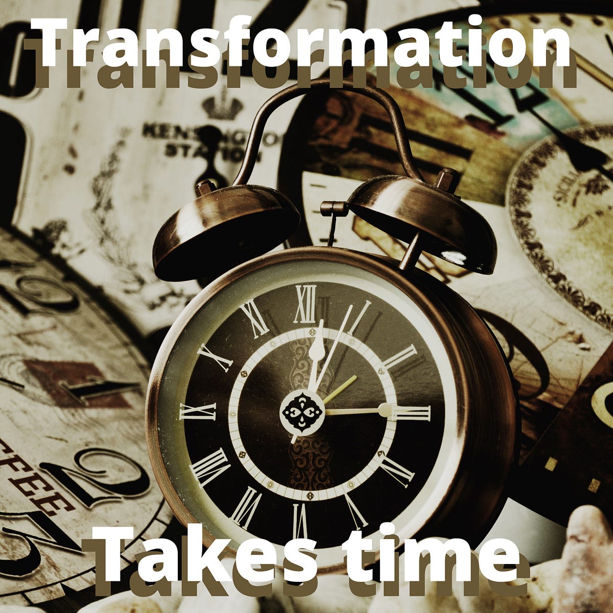 Transformation takes time. The Chinese proverb “Be not afraid of… | by ...