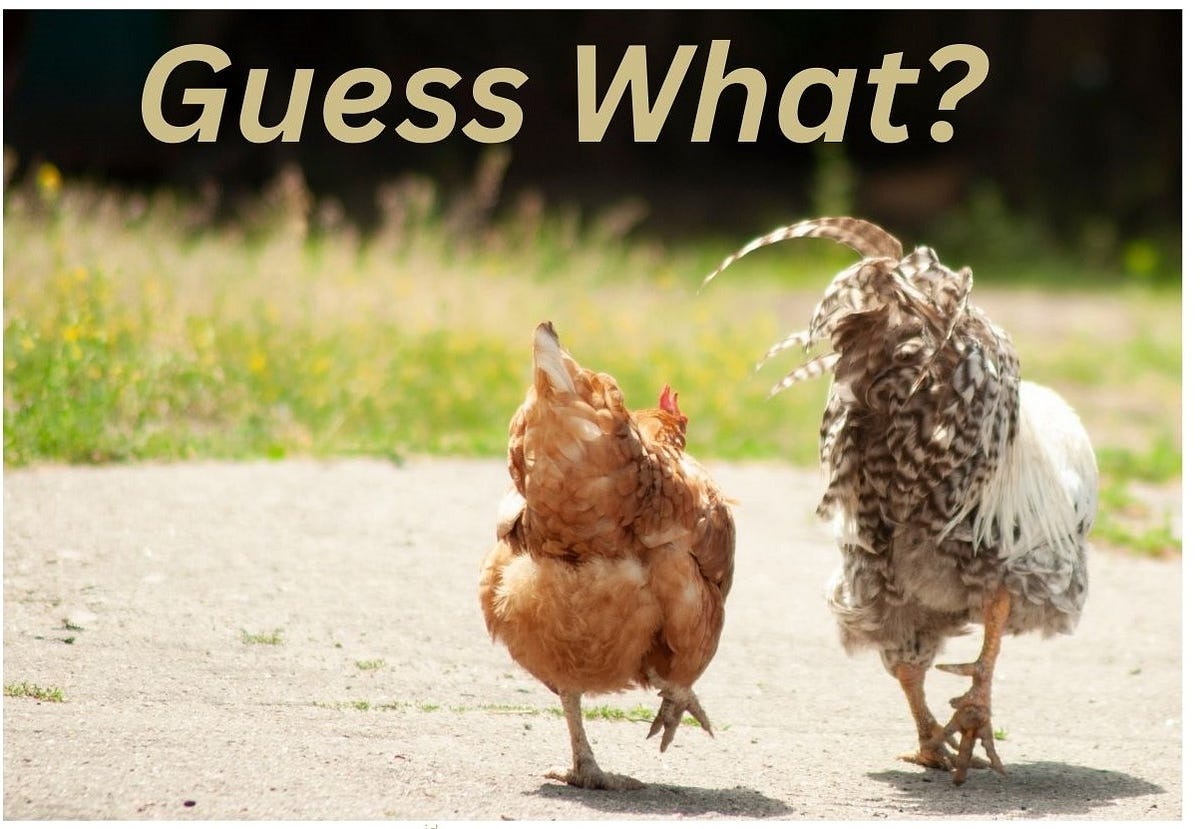 A Teenager Discovers “Guess What, Chicken Butt” | by Lily Hirsch ...
