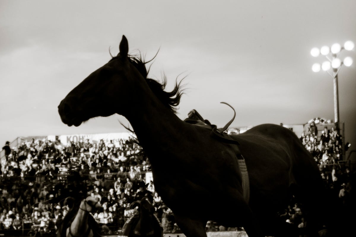 100 years of Rodeo. The American Rodeo is a symbol of the… | by Ty ...