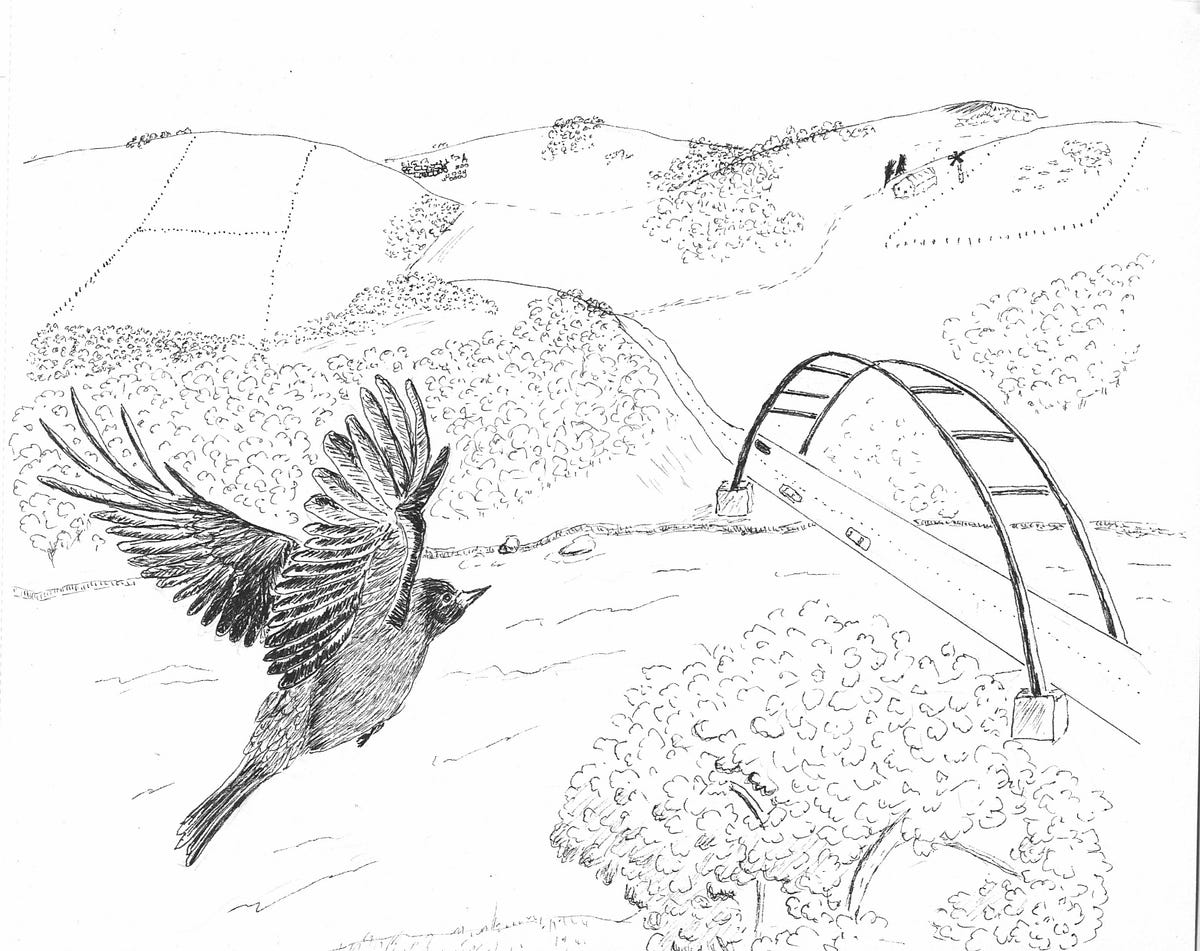 Guidebook - 2-Bite Stories - Medium