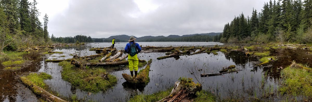 Alaska Native Values and Indigenous Data Sovereignty: A Personal ...