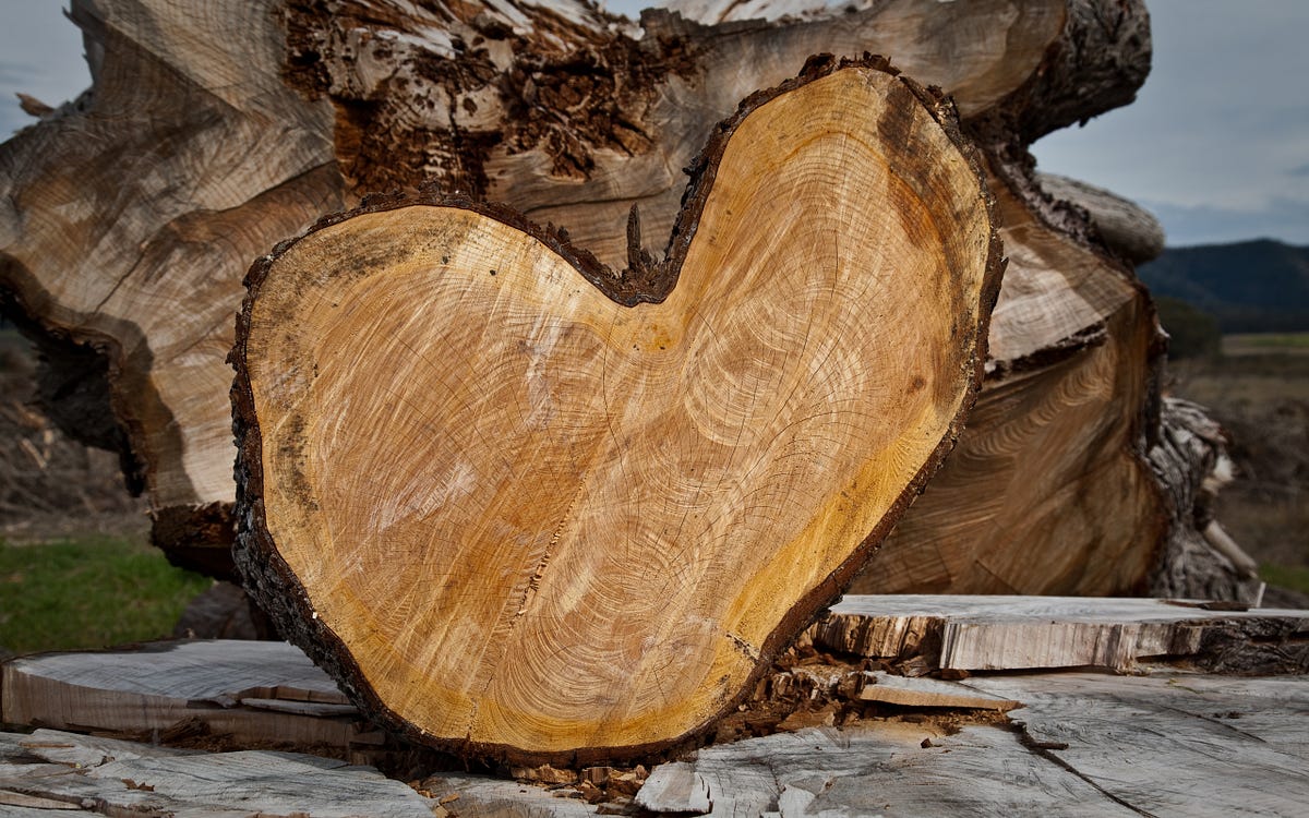 Why should you look at your logs? | by Manu Prasanna | Medium