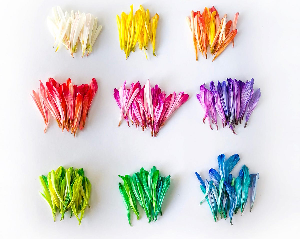 Basic Math in JavaScript. Part-2: Arithmetic Operators | by Saloni ...