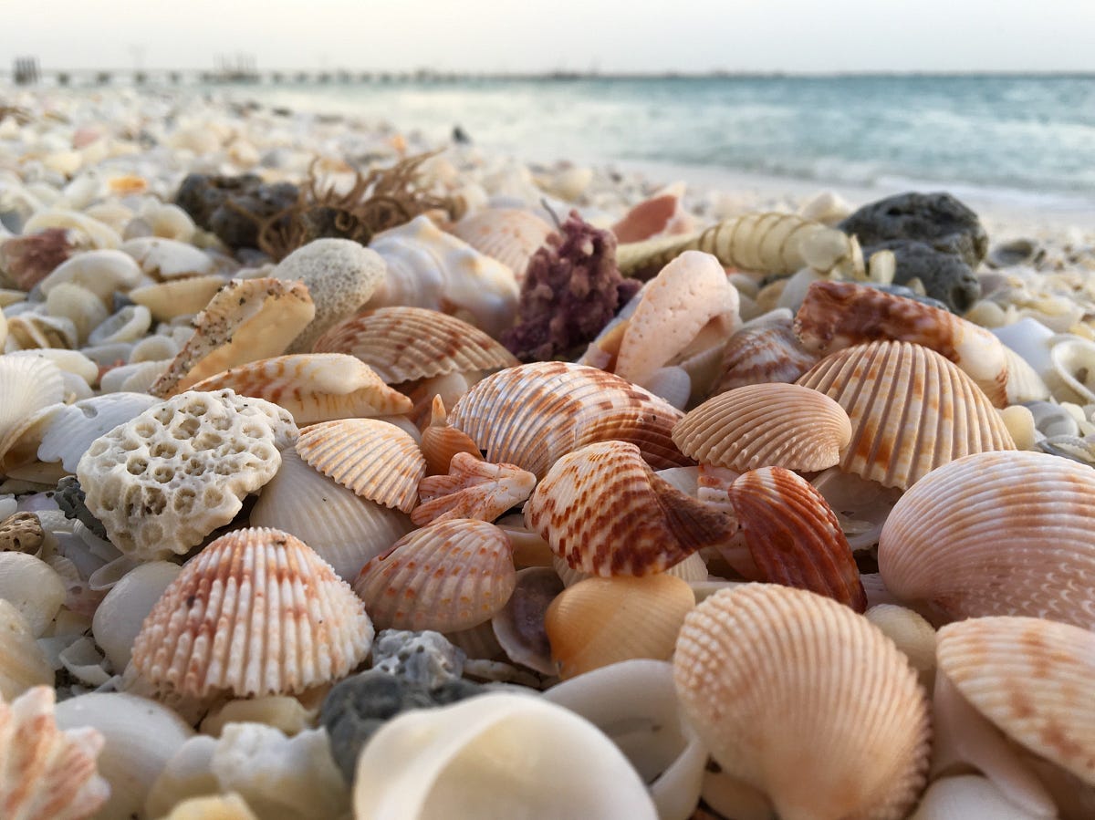 How to Make Compound Nouns Plural in Your Writing | by Karen DeGroot ...