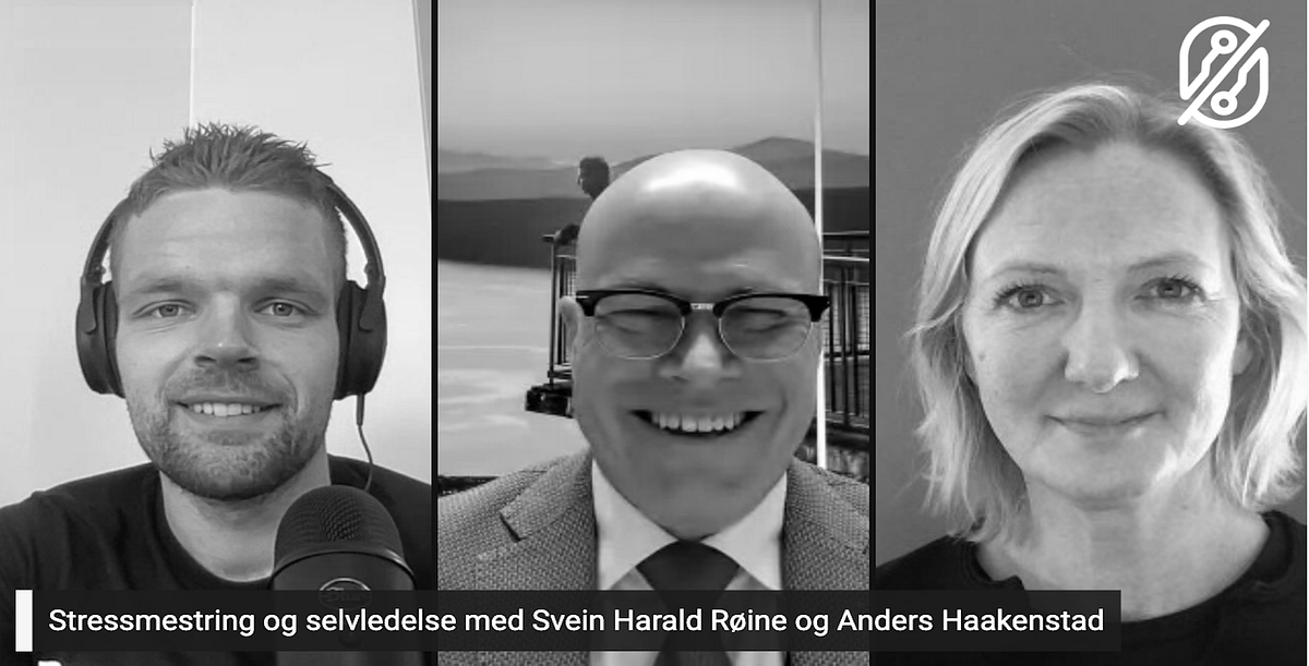 C1331: Hva er stress? (Og hvordan mestre det) | by LØRN | lorn.tech | Mar, 2023 | Medium