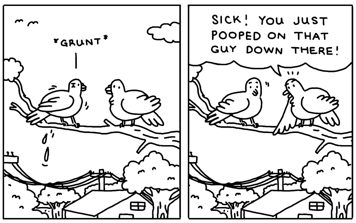 Pigeon Problems A Three Word Phrase Comic By Ryan Pequin The Nib Pigeon Problems A Three Word Phrase Comic By Ryan Pequin The Nib