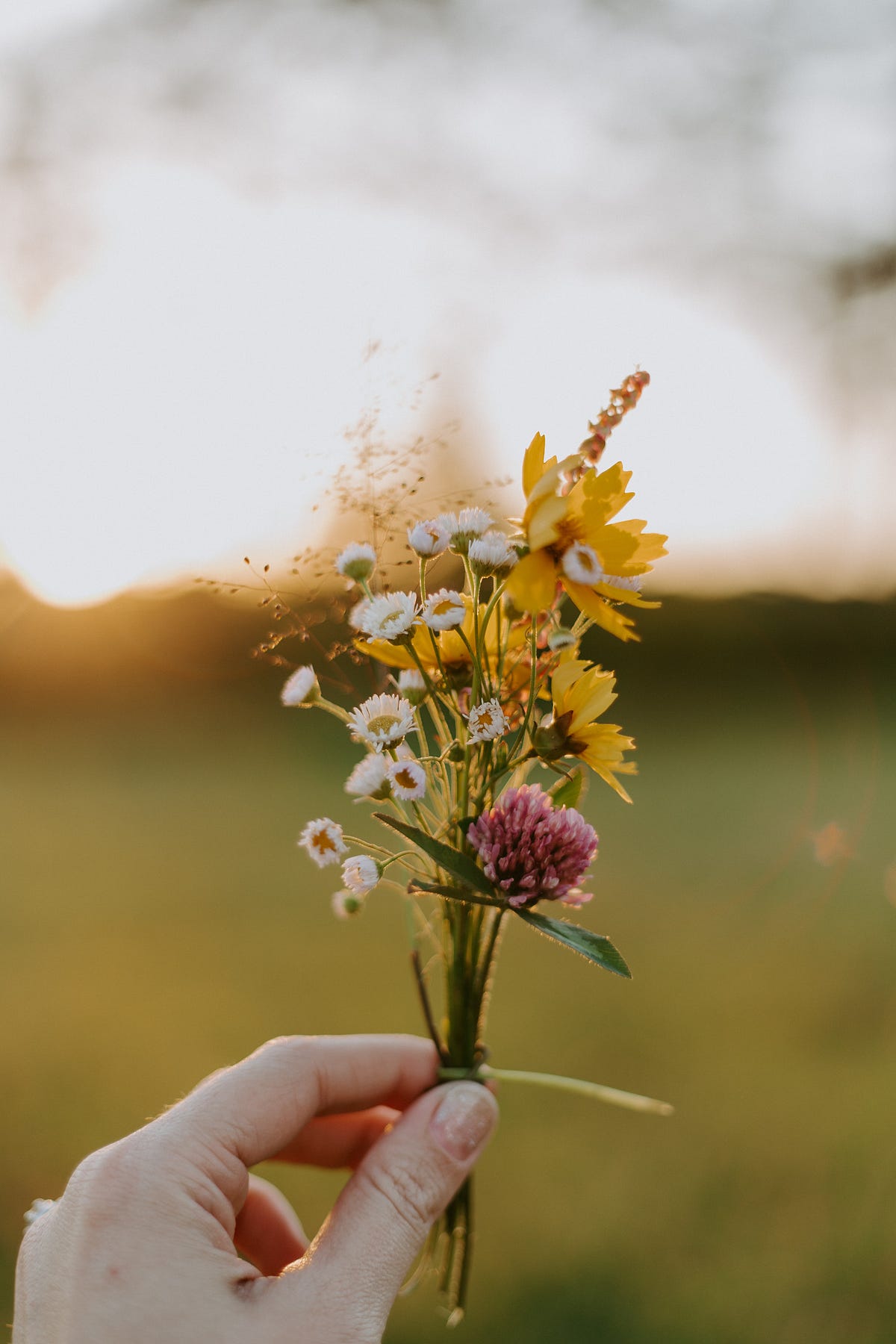 The Weekend Poem - Heart Revolution - Medium