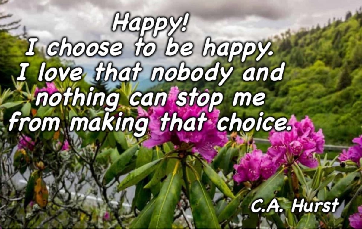 Happy! - C. A. Hurst - Medium