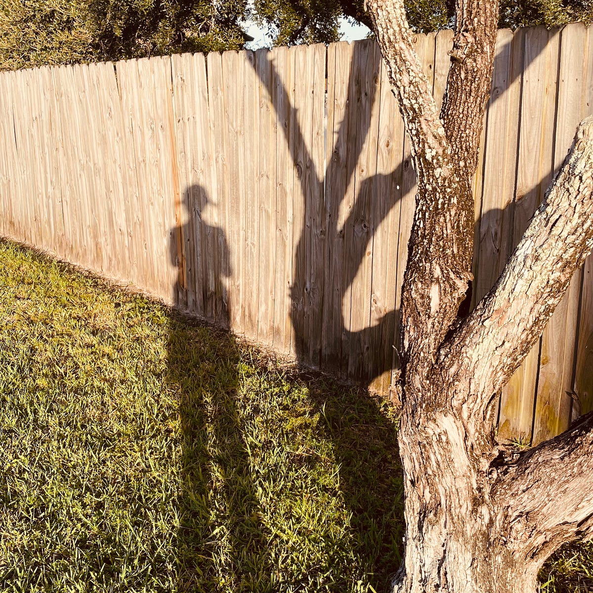 Quarter Centuries Shadow - Six Word Photo Story Challenge - Medium