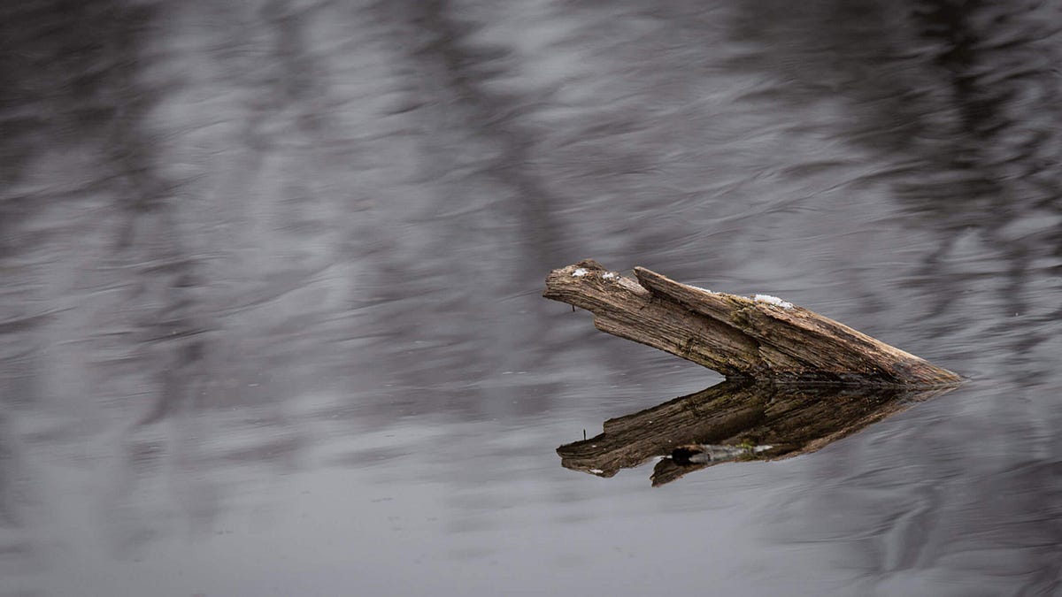 Little adjustments make a big difference when editing photos | by Lauri ...