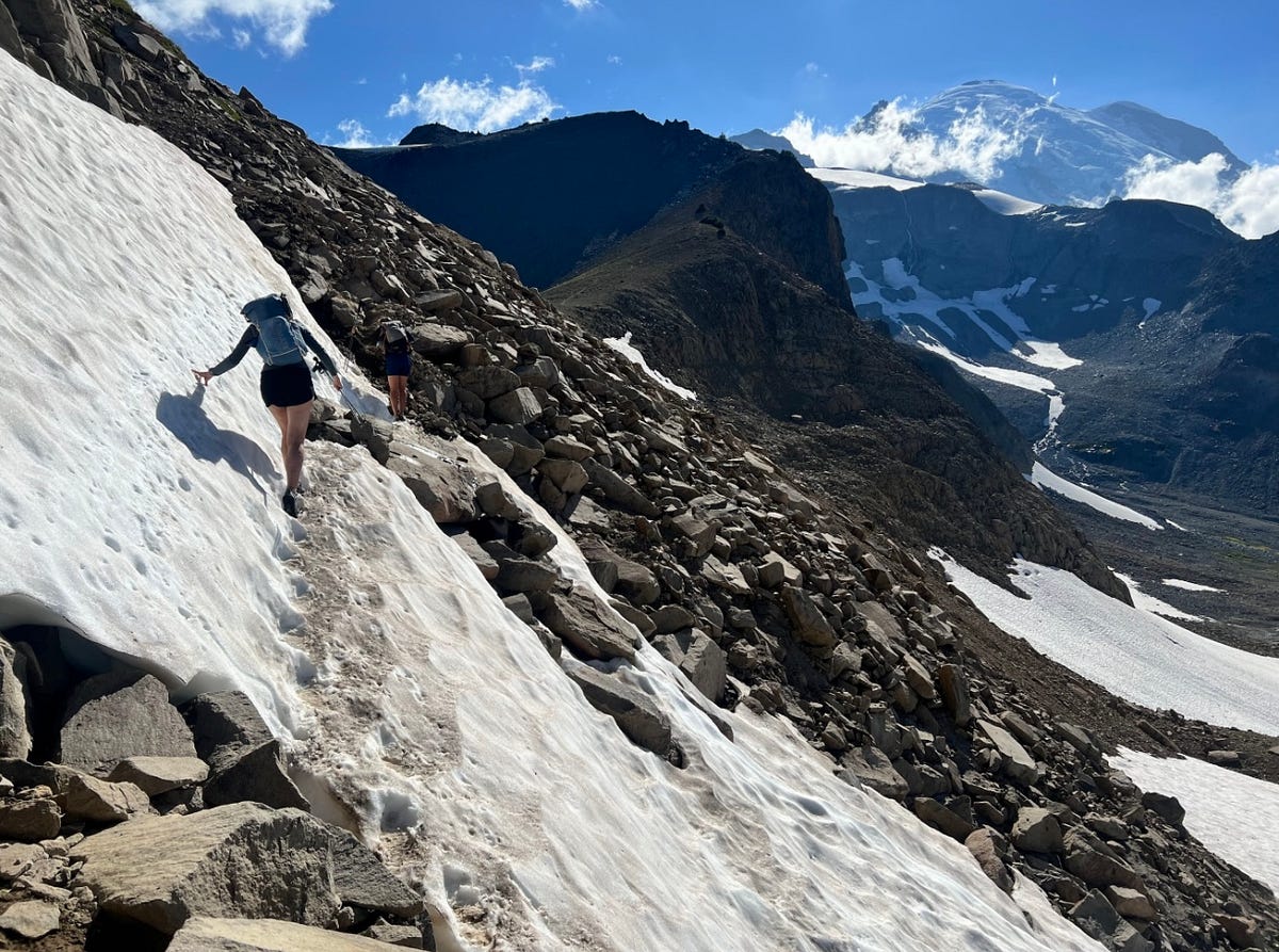 A Therapist’s Guide for Managing Internal Chatter | by Dr. Amy Waldron | May, 2025 | Medium