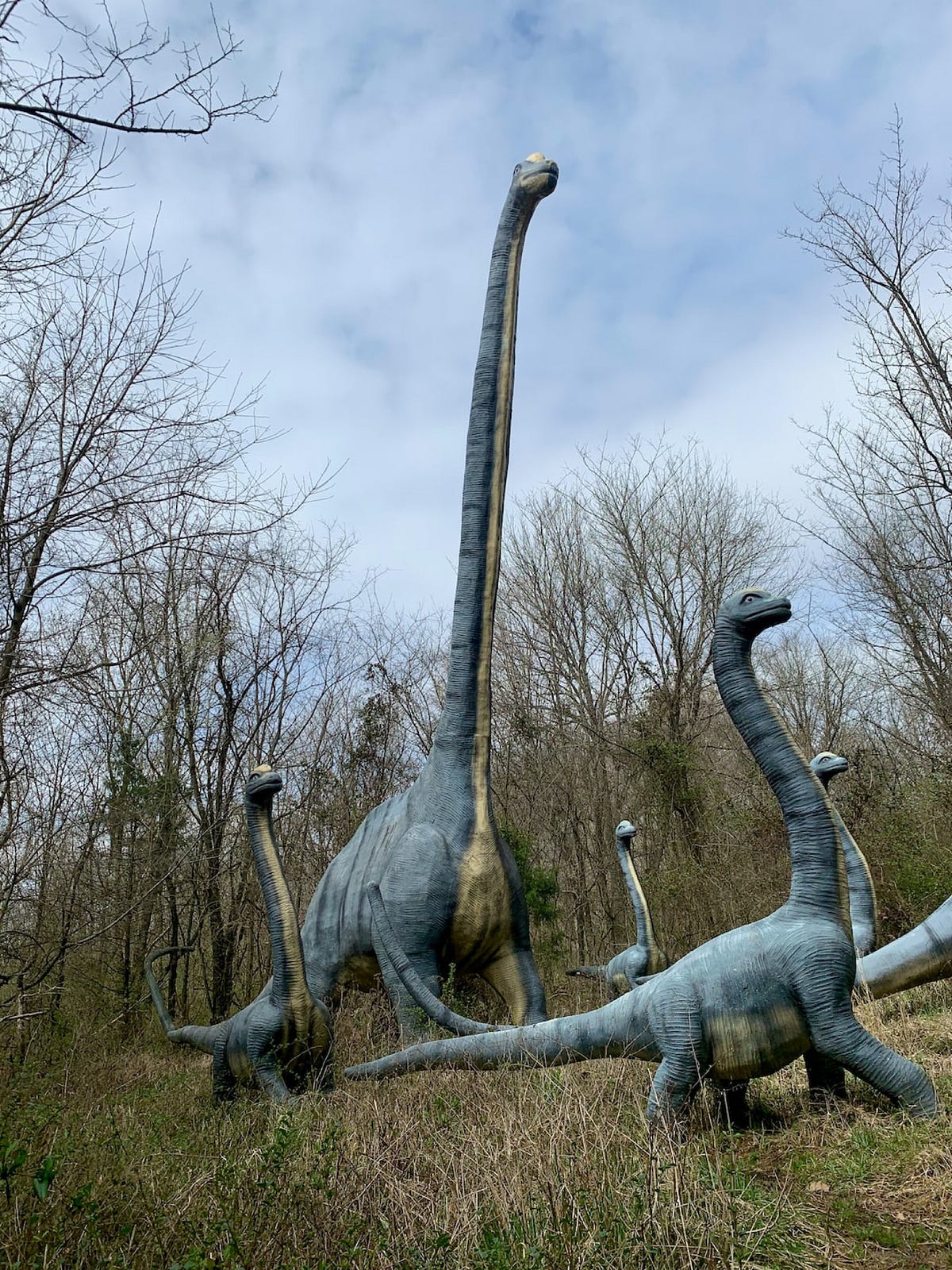 Dinosaur Mating | by Sean Ra ☀️🌜💞🌛 | Cnnn.com | Medium
