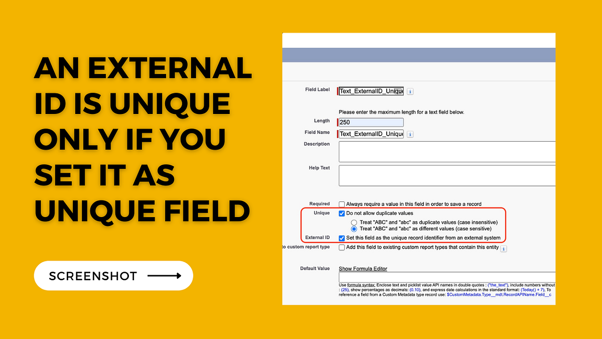 Salesforce Facts: External IDs. Definition | by Mustapha El Hassak | Medium