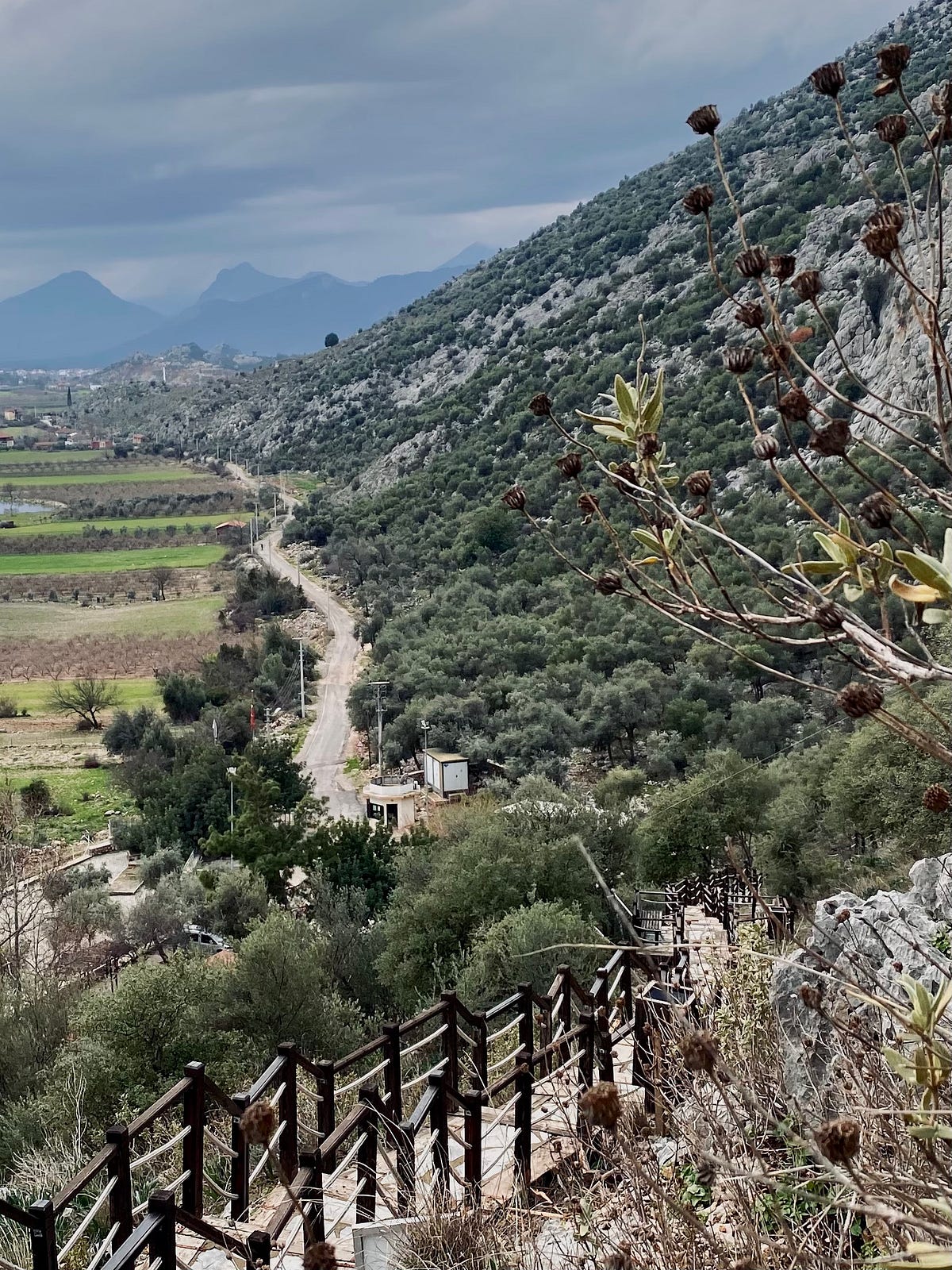 Flying foxes cave and the beauty of the roads - Artem Podporin - Medium