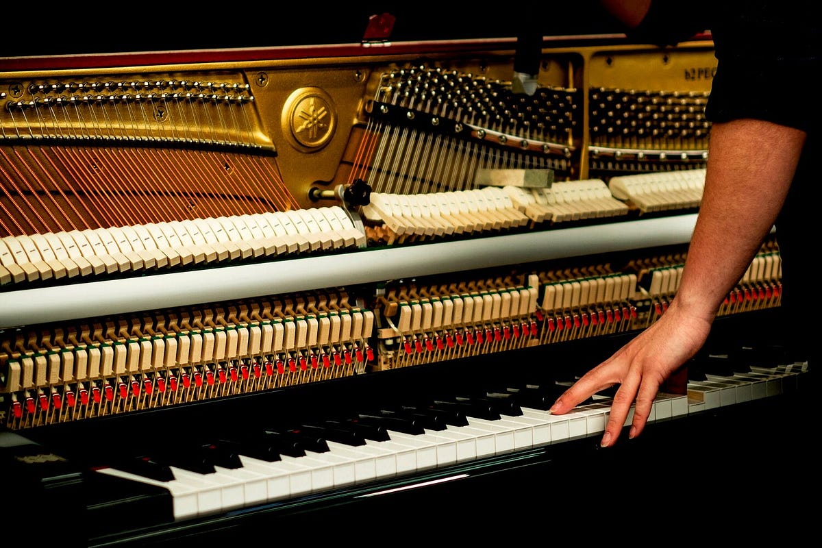 Piano Tuning and Maintenance - Vanguardpianoservice - Medium