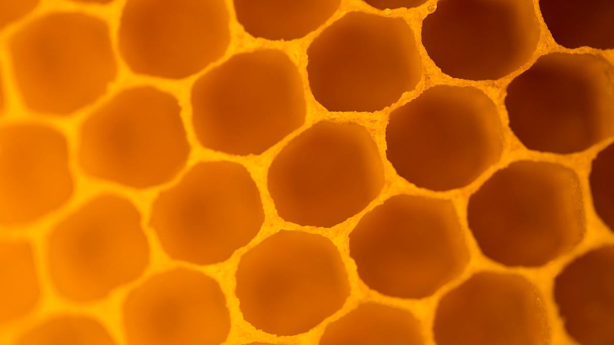 How to structure your code? Hexagonal Architecture! | by Diogo Ferreira | DataDrivenInvestor