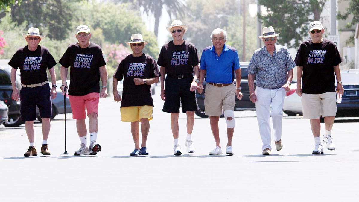 THE BRONX: USA, A Celebration of the Dynamic Diversity of the Bronx ...