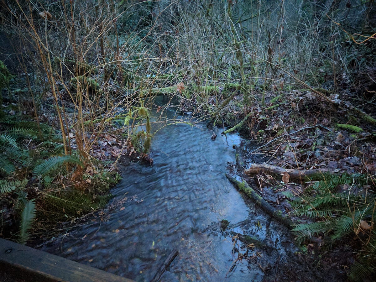 The Coiled Heart. He was dead. He was absolutely sure he… | by ...