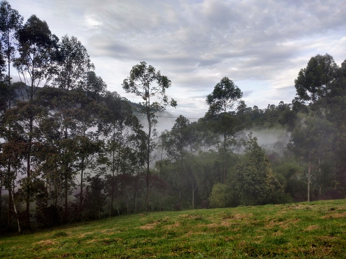 You Can Not Control The Weather. Learning to roll with the punches of… | by Sara Burdick | Medium