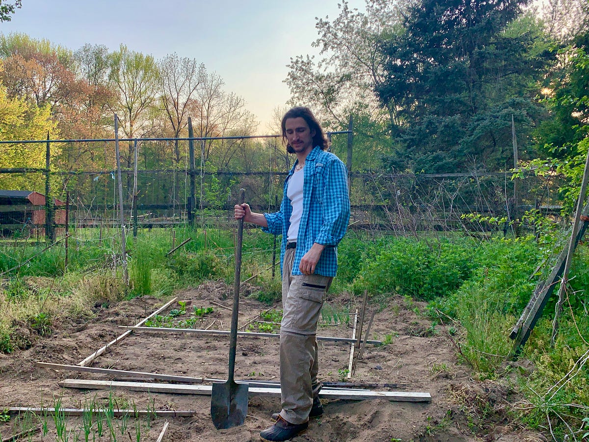 Practice ‘The Gardener Mindset’ To Grow Your Happiness | by Jesse ...