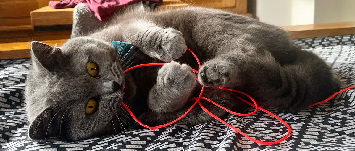 Weeknote 31: Clearing the question fog | by Alysia-Marie Annett | Medium