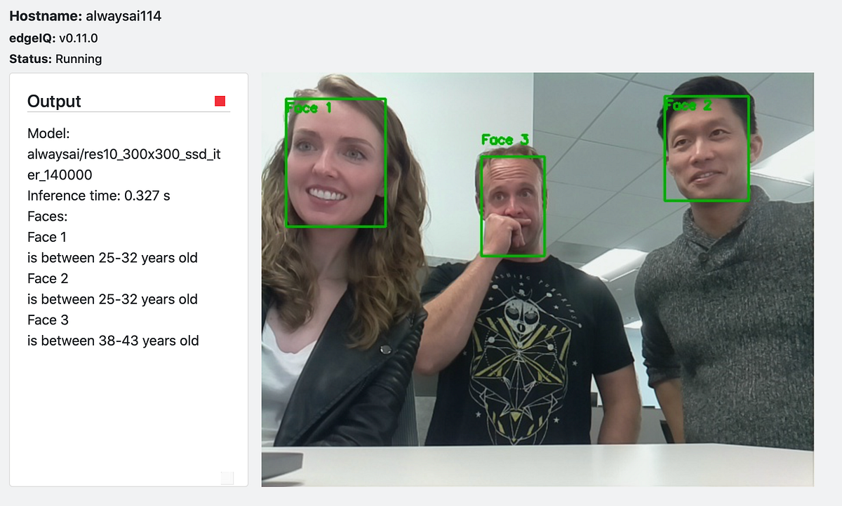 Using An Object Detection Model with A Classifier | by Lila Mullany | Medium