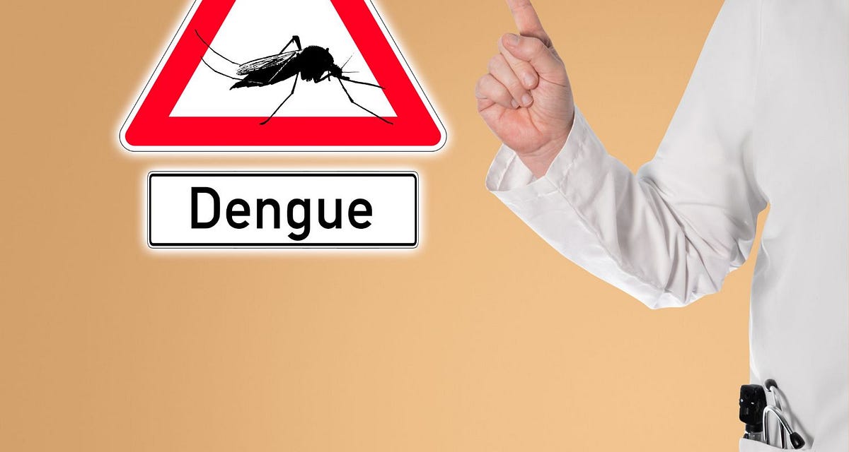 DENGUE FEVER SUPPORTIVE THERAPY EFFECTIVE | by Essay Mentor | Oct, 2023 ...