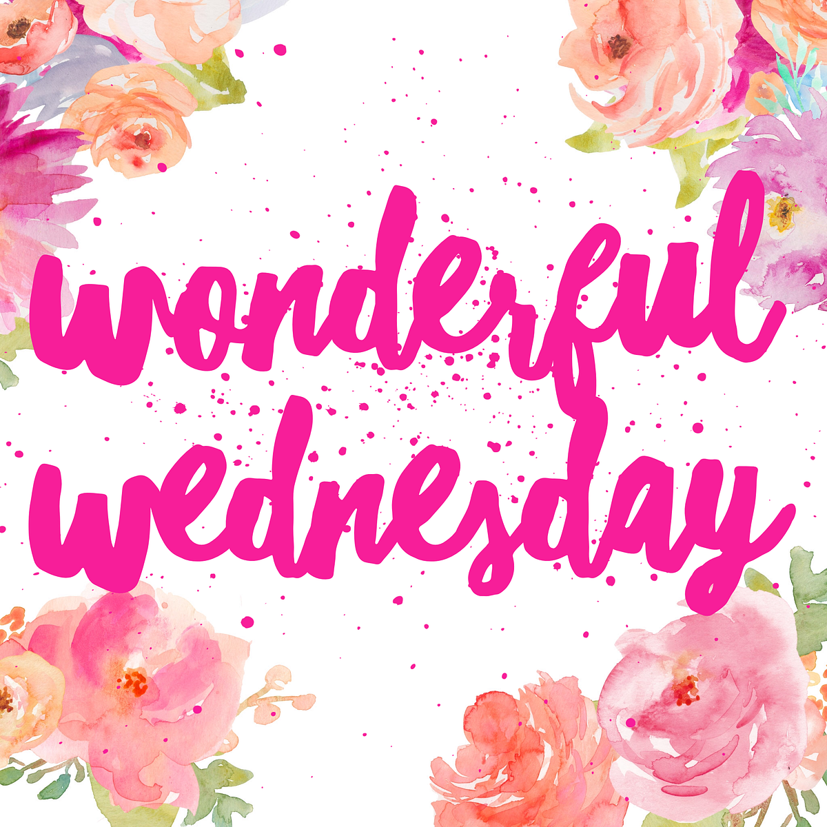 Happy WONDERFUL WEDNESDAY!. Happy WONDERFUL WEDNESDAY! We weren’t… | by ...