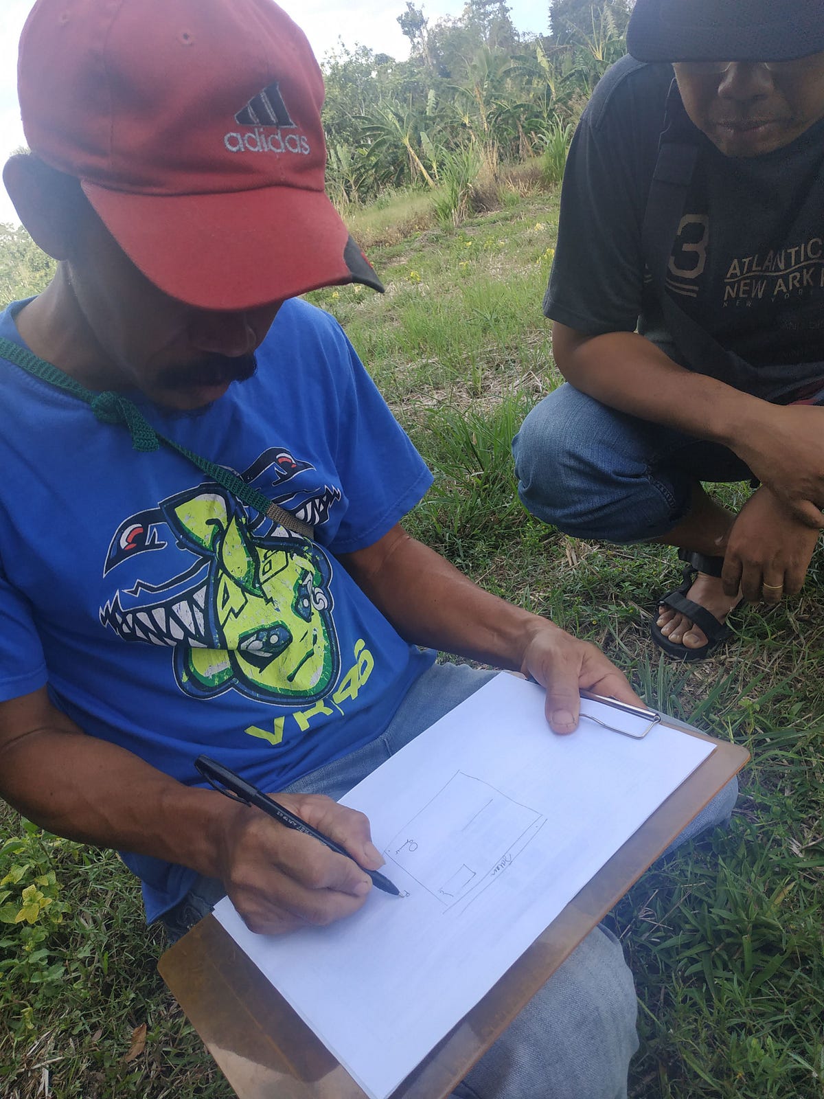 Membangun Harapan di Teluk Bintuni: Perjalanan Awal Usaha Peternakan ...