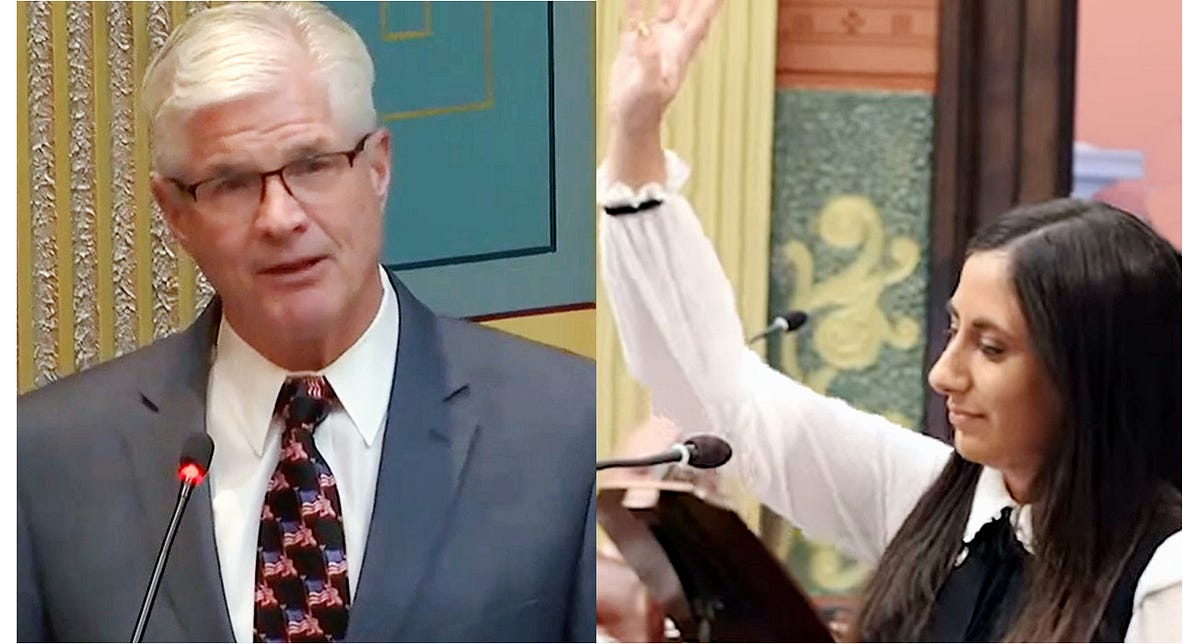 Mike Shirkey and Mari Manoogian show who they are in Michigan Capitol ...